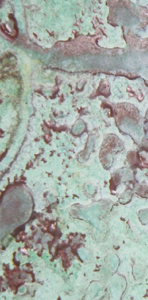 First Fold Image | LIQMET